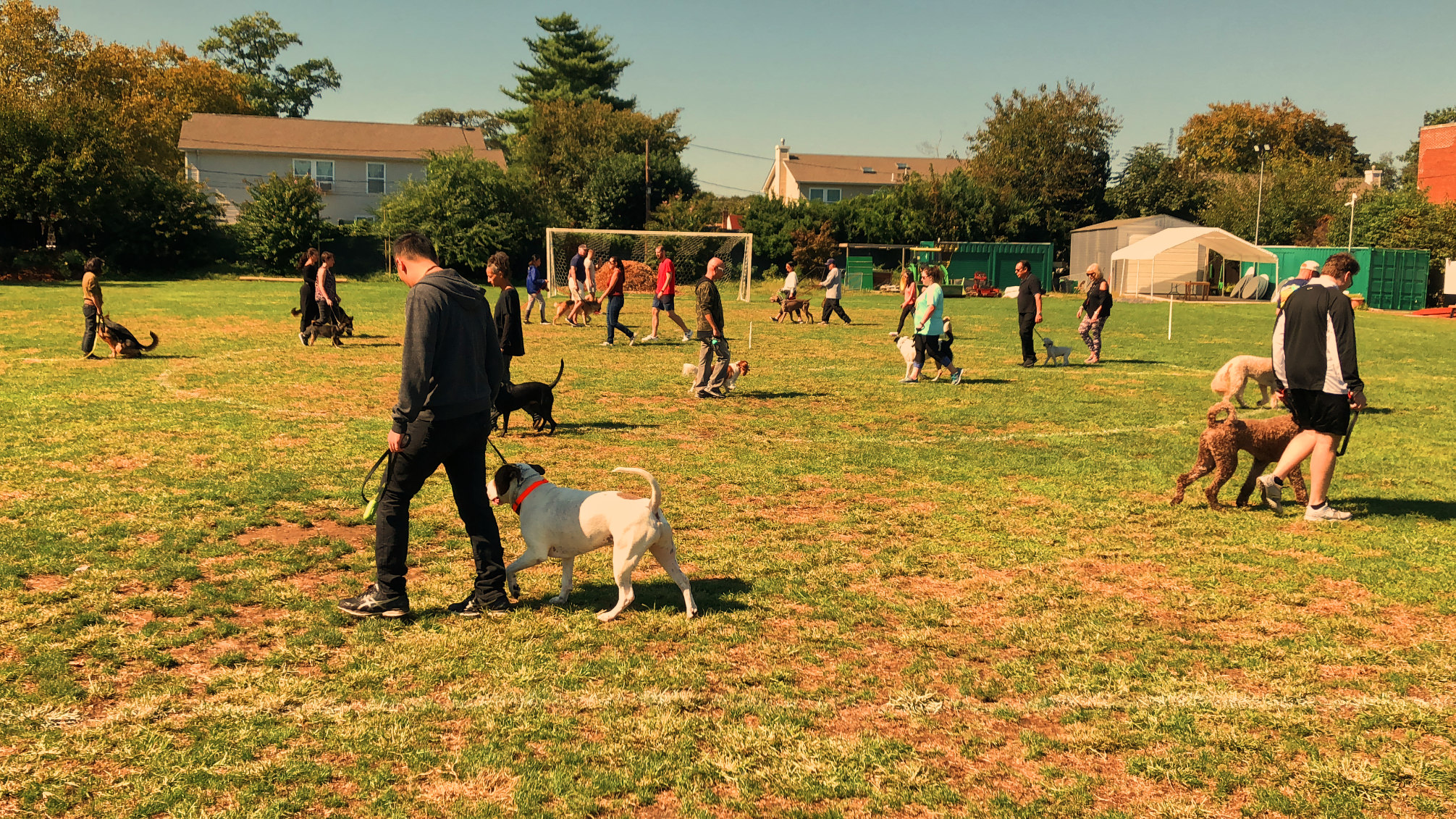 Our Program – K9KEY Dog School
