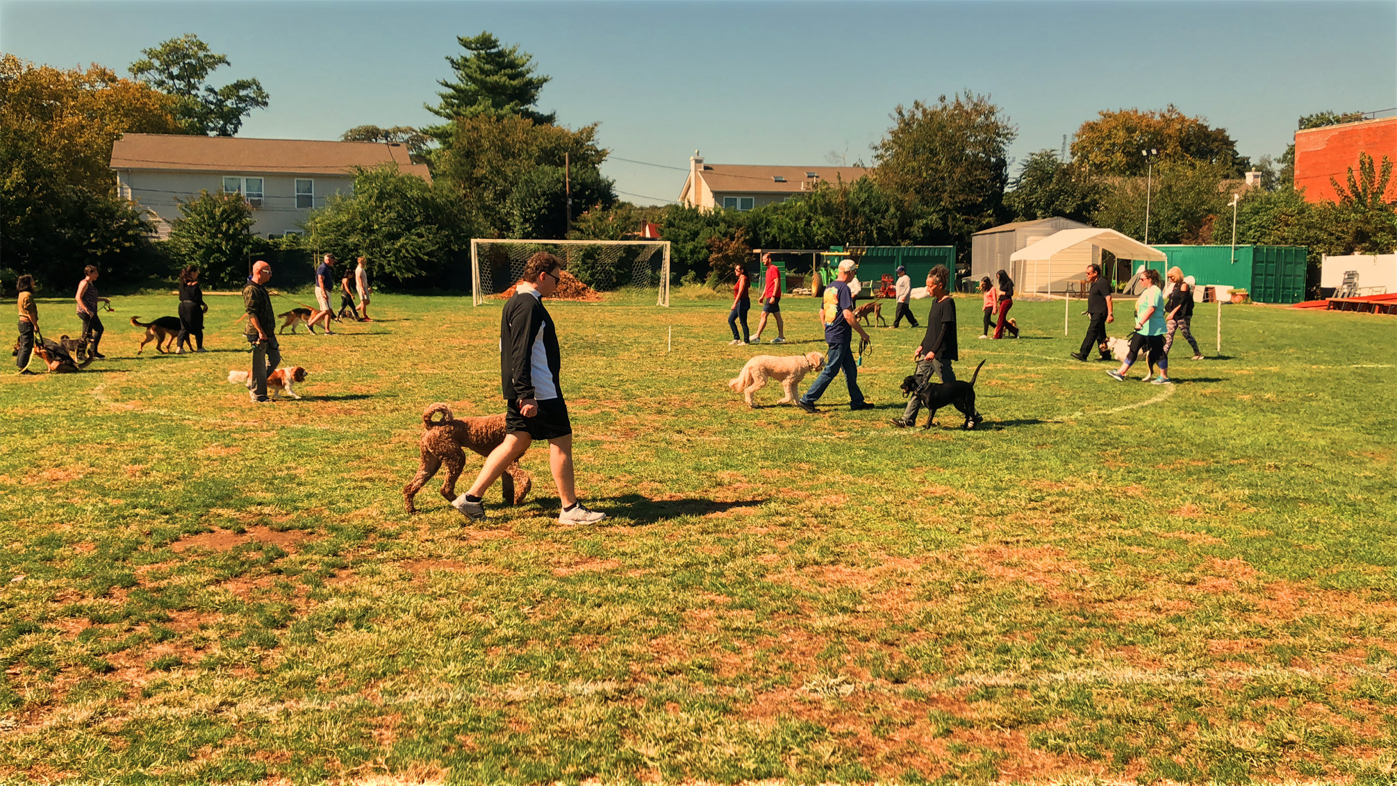Our Program – K9KEY Dog School